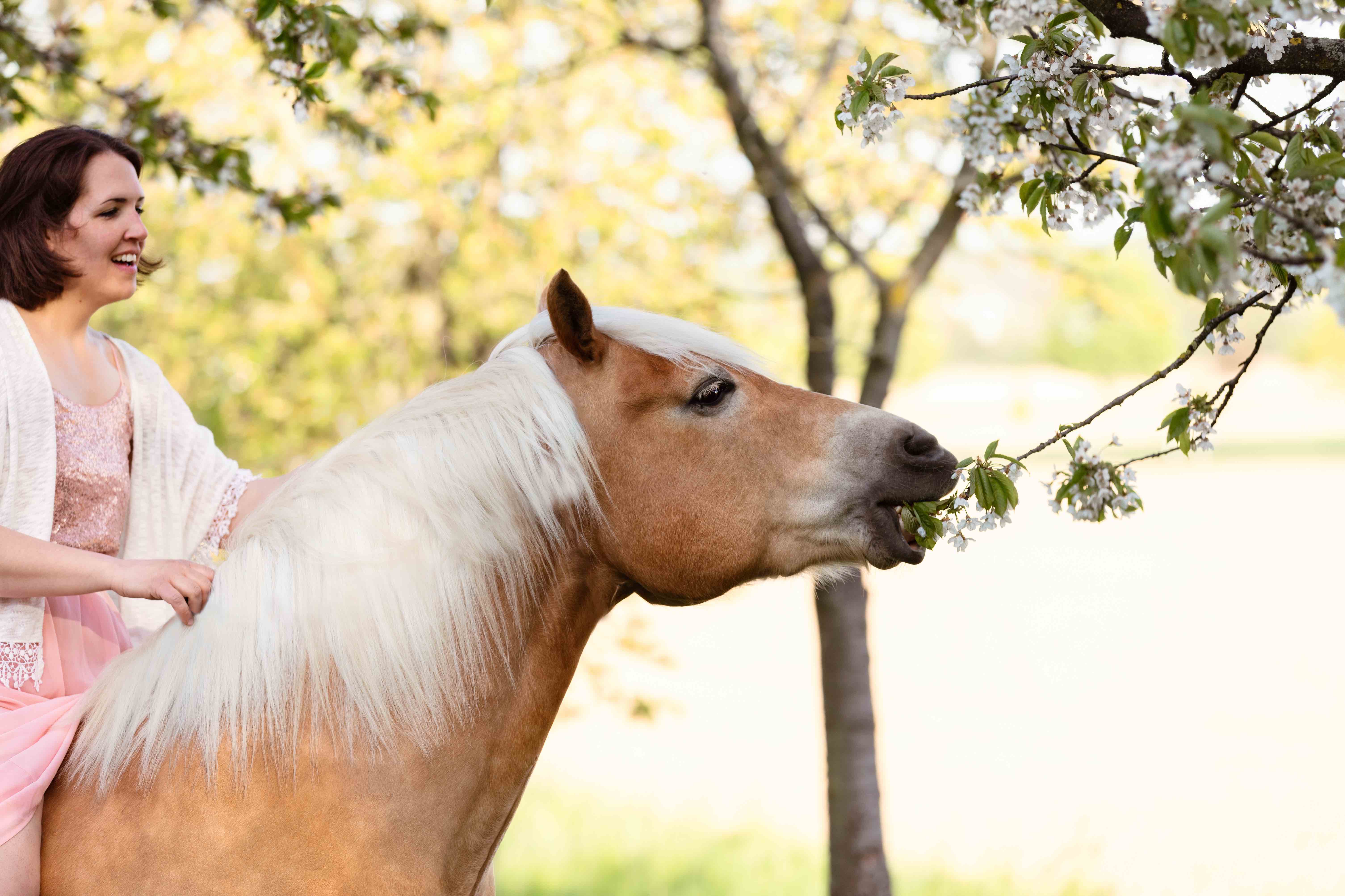 Antje Koch Pferdeverhaltenstraining - Über mich